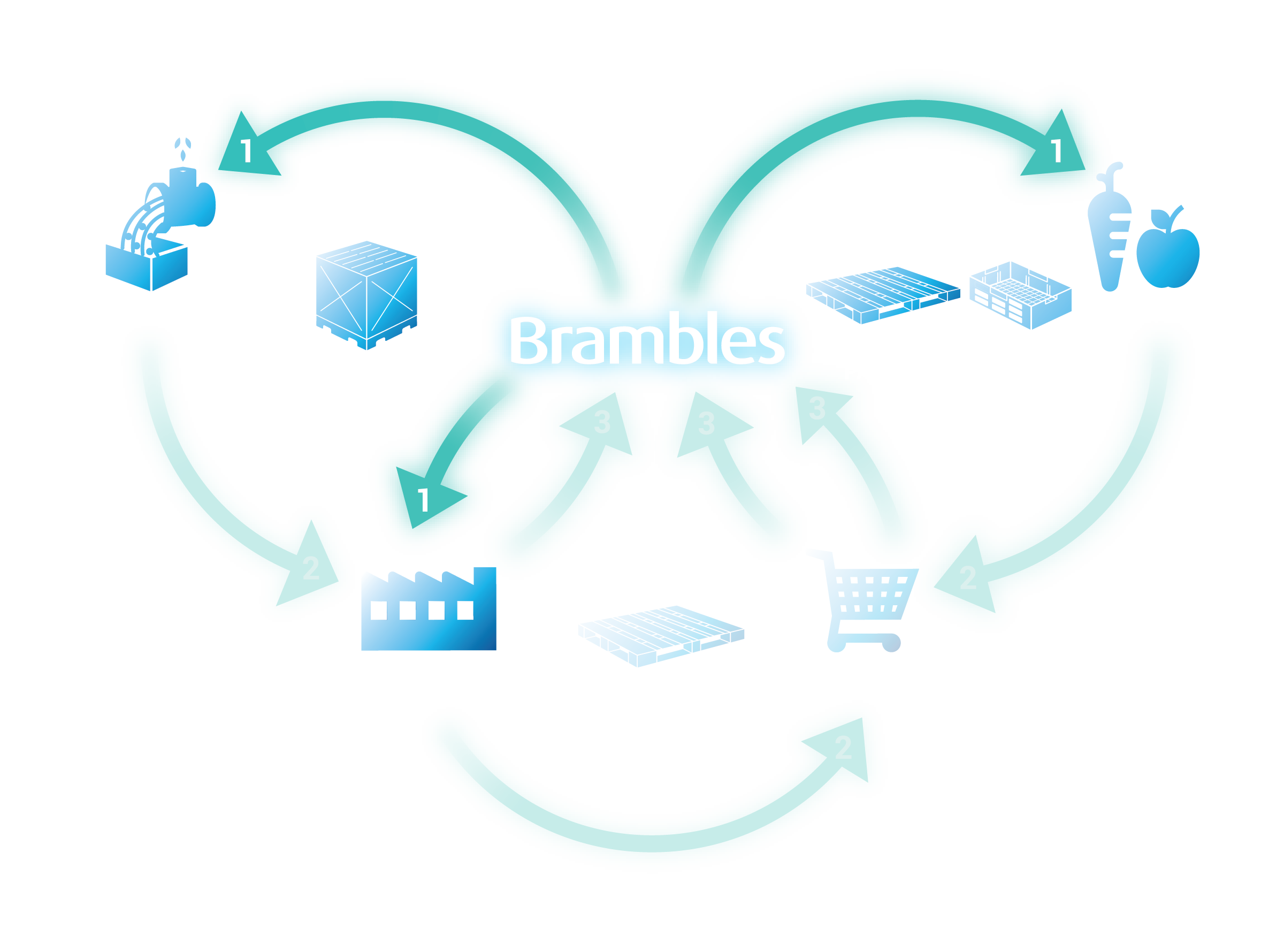 Brambles Corporate Site AR2021
