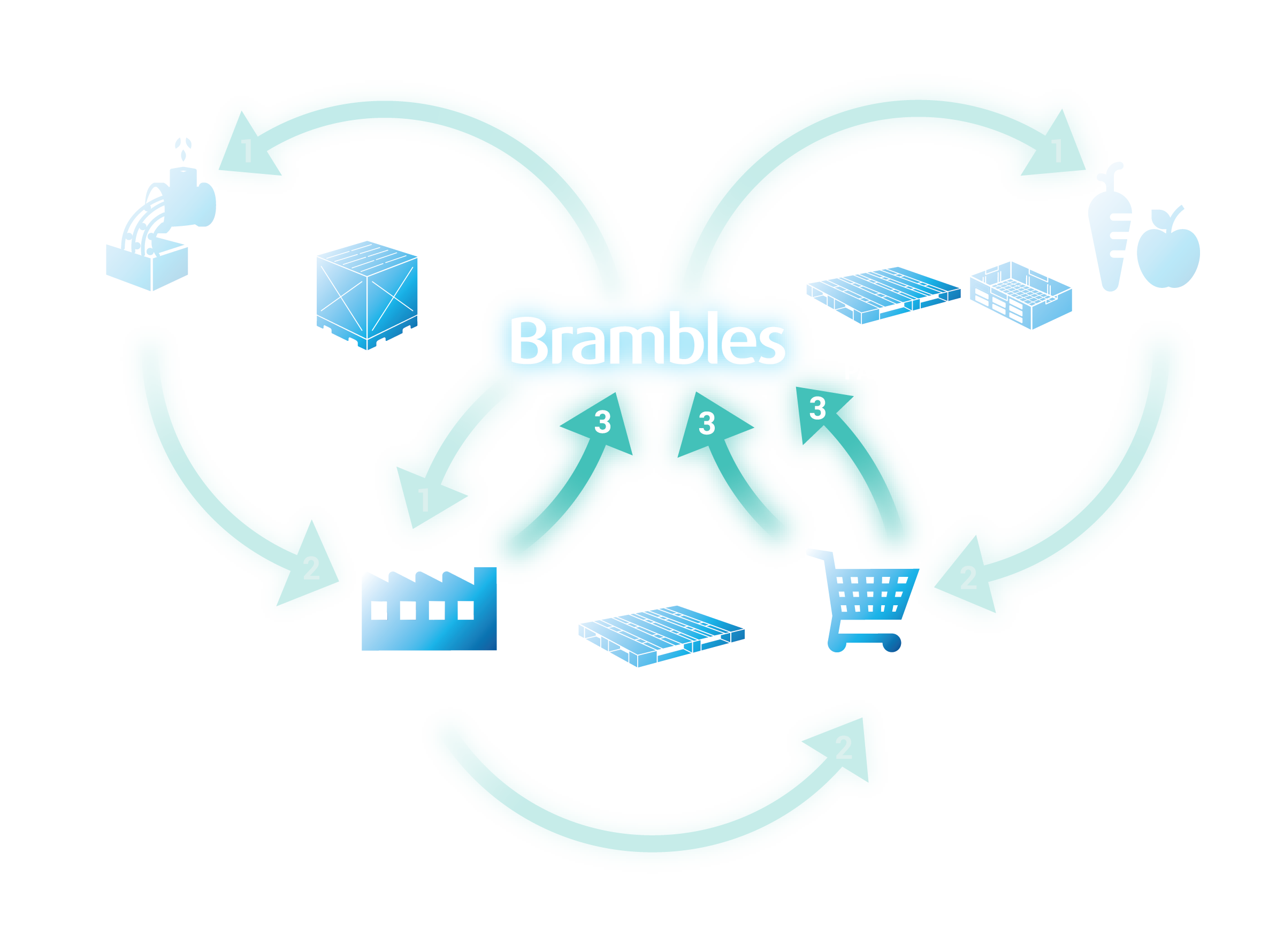 Brambles Corporate Site AR2021